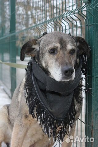 Последний шанс для Барса обрести дом