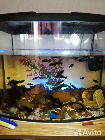 Аквариум 45 литров