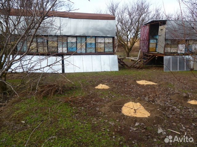 Продам пчелопакеты в Крыму