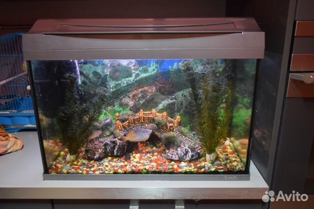 Аквариум Tetra 60л