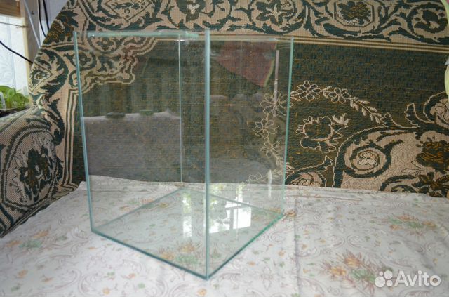 Креветочник