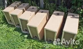 Пчелопакеты