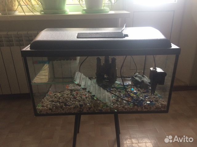 Аквариум-Черепашатник 70л