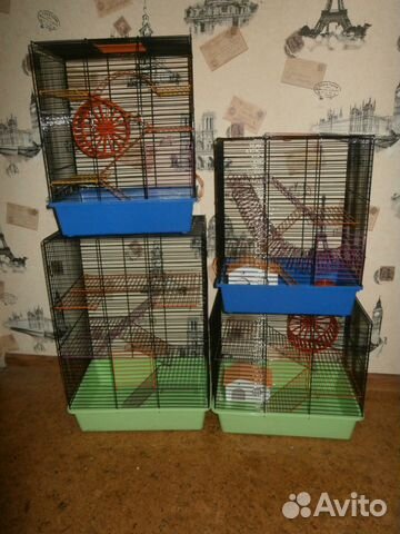 Новые клетки, крысята, сирийские и джунгарские хом