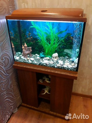 Аквариум