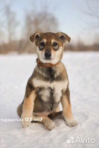 Карамелька- девочка прям сладкая булочка)