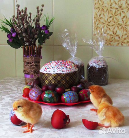 Цыплята Фокси Чик (в наличии)