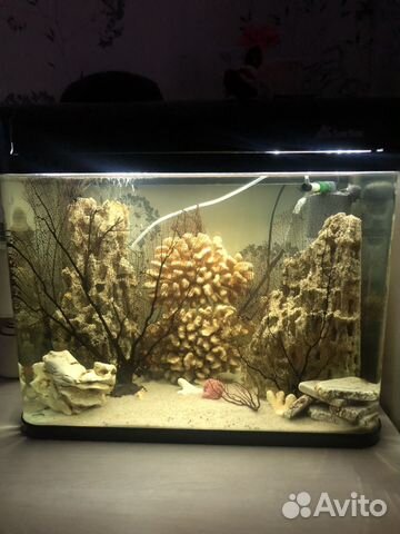 Аквариум 80 литров