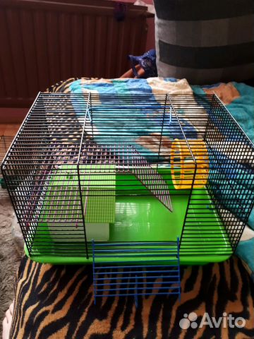 Продаю мышей вместе с клеткой