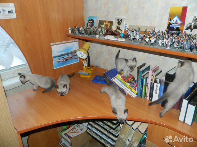 Тайские малыши