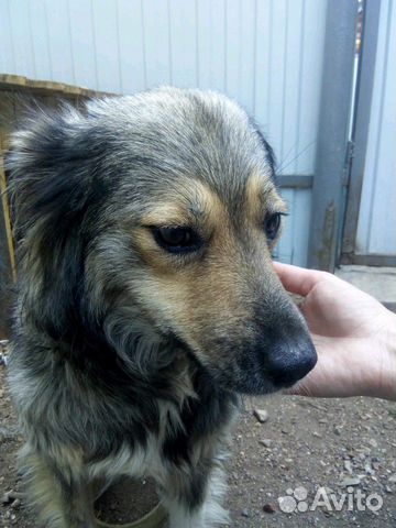 Пристраиваем в дом