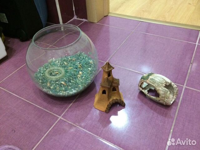 Аквариум, грот