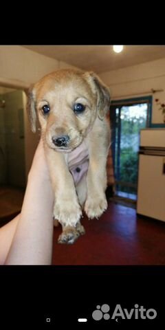 Очаровашка мальчик ищетет заботливые ручки