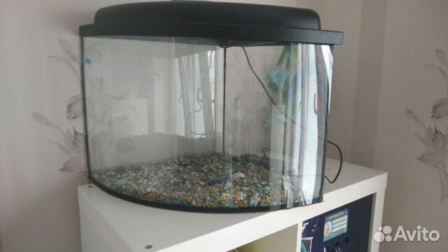 Аквариум Сектор 50