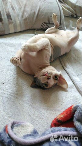 Ищем жениха