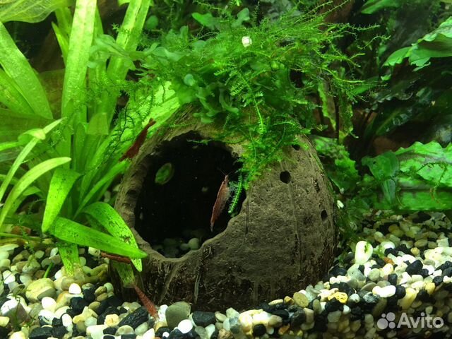 Грот для аквариума