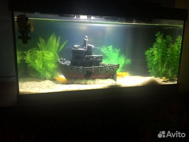 Аквариум tetra с LED освещением 54 л