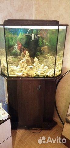 Аквариум 100 литр с тумбой