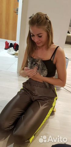 Продам шиншиллу