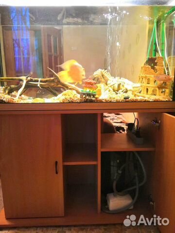 Аквариум 240 л с тумбой, фильтром, декором