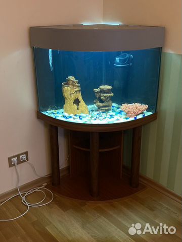 Аквариум угловой