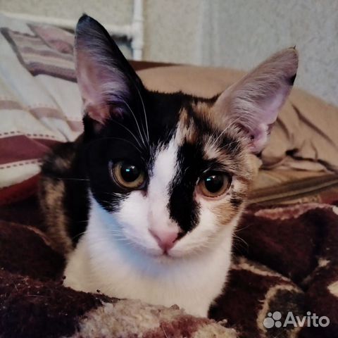 Кляксочка, 6 месяцев