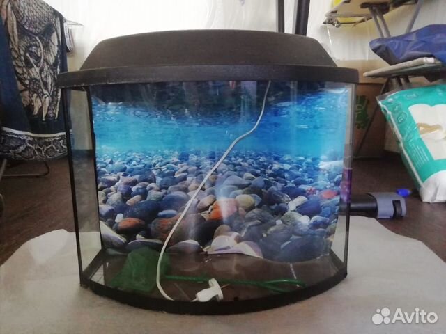 Аквариум