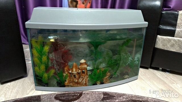 Аквариум со всеми аксессуарами