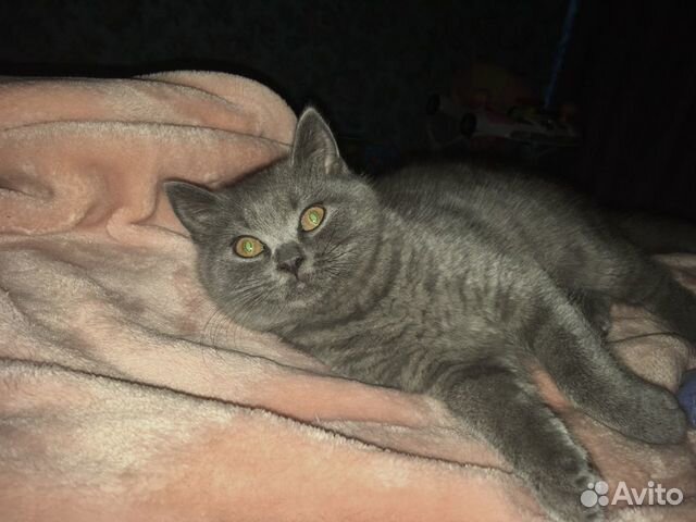 Британская