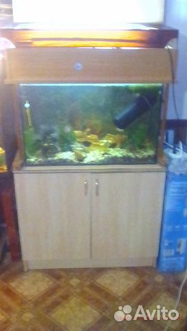 Аквариум