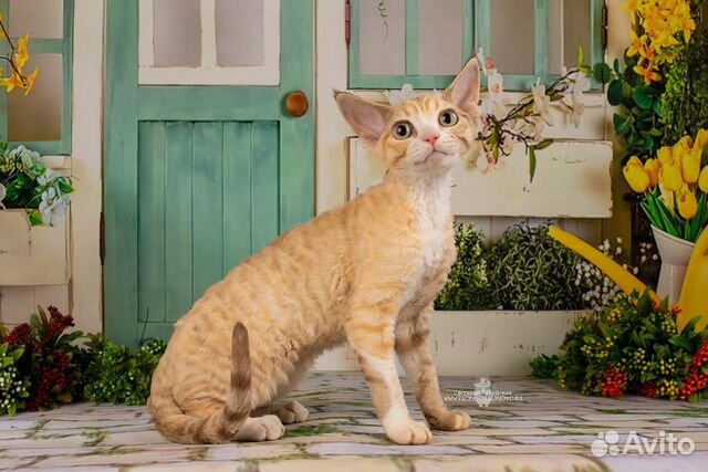 Девочка с характером