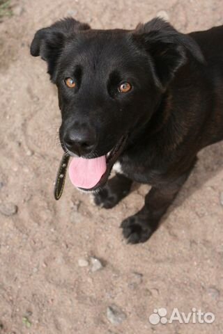 Космические малыши ищут дом