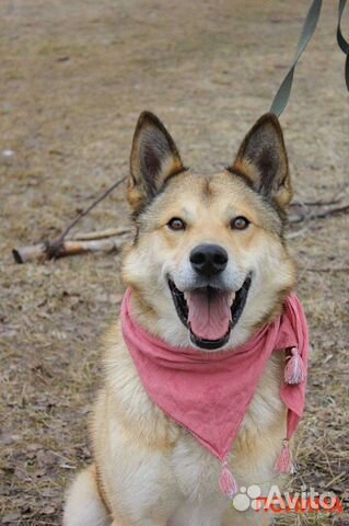 Только тебя и ждёт