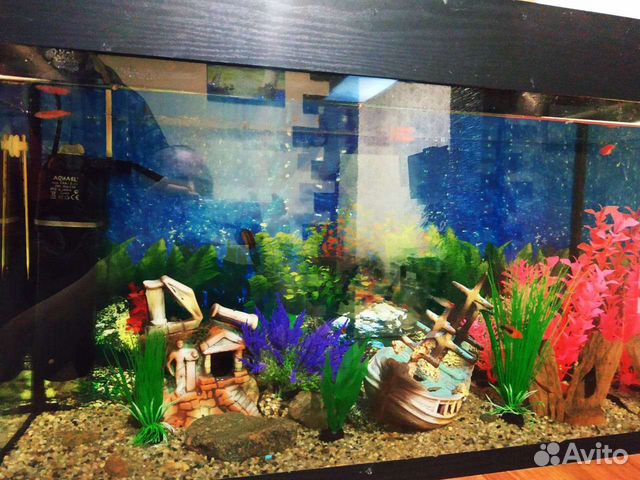 Аквариум 70л