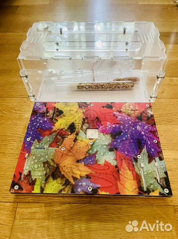 Муравьиная ферма antplanet