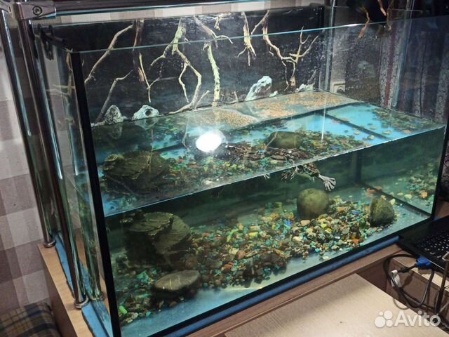 Аквариум, террариум