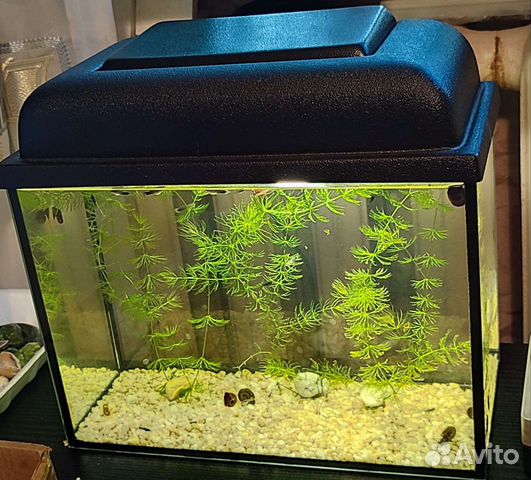 Аквариум 15л,новый с рыбками