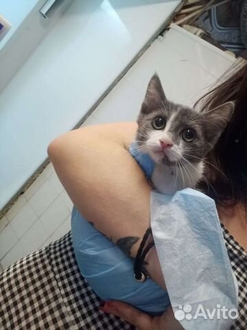 Прелестный ребёнок в добрые руки