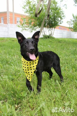 Берта- несчастный ребёнок из приюта