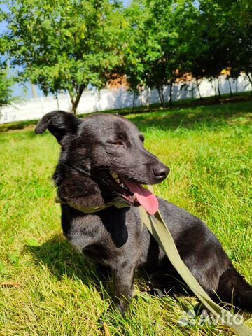 Итан ждет семью, заберите малыша