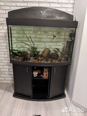 Аквариум панорамный 240 литров