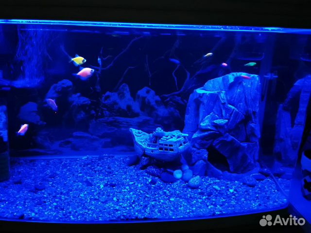 Аквариум с тумбой 193 литра