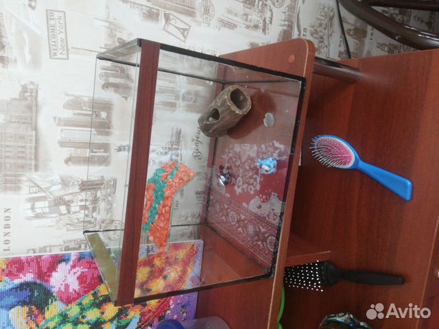 Аквариум для черепахи