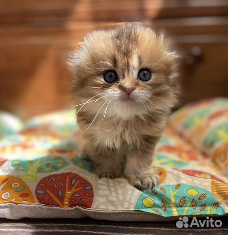 Мпльчик Ярик (Ясно солнышко)