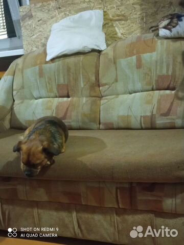 Парень ищет подругу