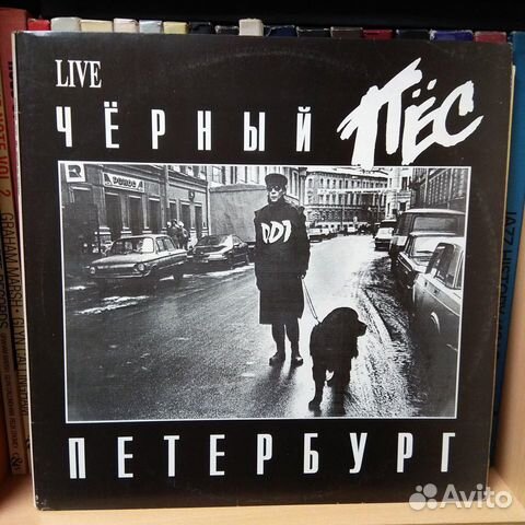 Ддт Черный пес Петербург 2 LP купить в Москве | Хобби и отдых | Авито