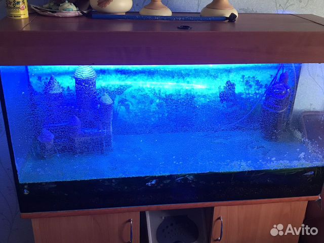 Продаю аквариум 100x59x30