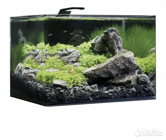 Аквариум dennerle 35 л и больше