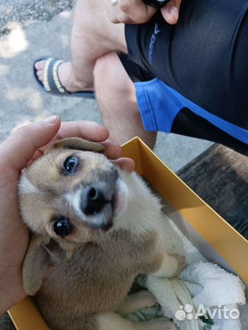 Отдам в добрые руки маленькую девочку)