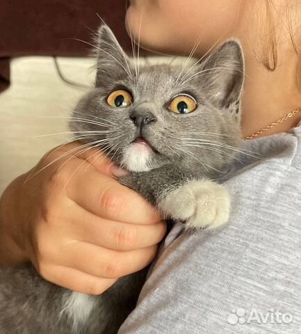 Девочка котенок из русских сказок в дар